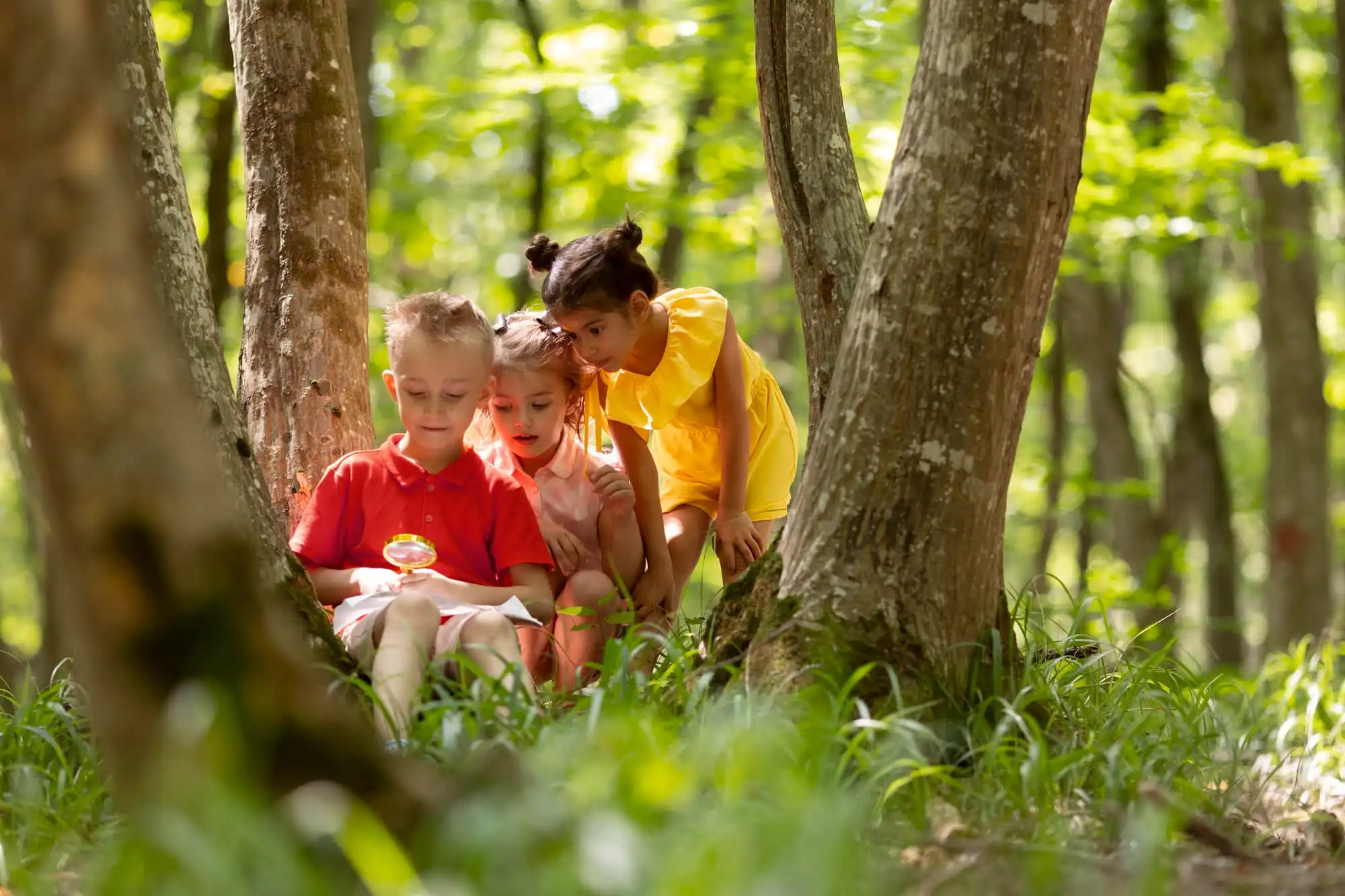 What is Outdoor Learning? - Back to the Garden Childcare